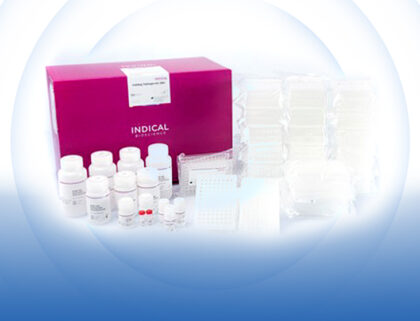 Biolife Technologies - BLTEQ®